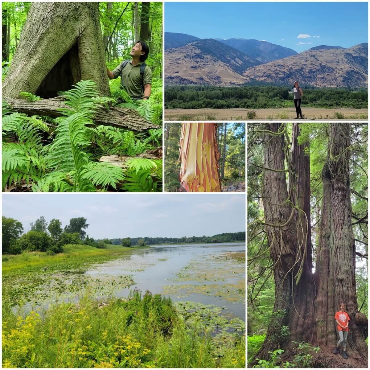 News — Endangered Ecosystems Alliance