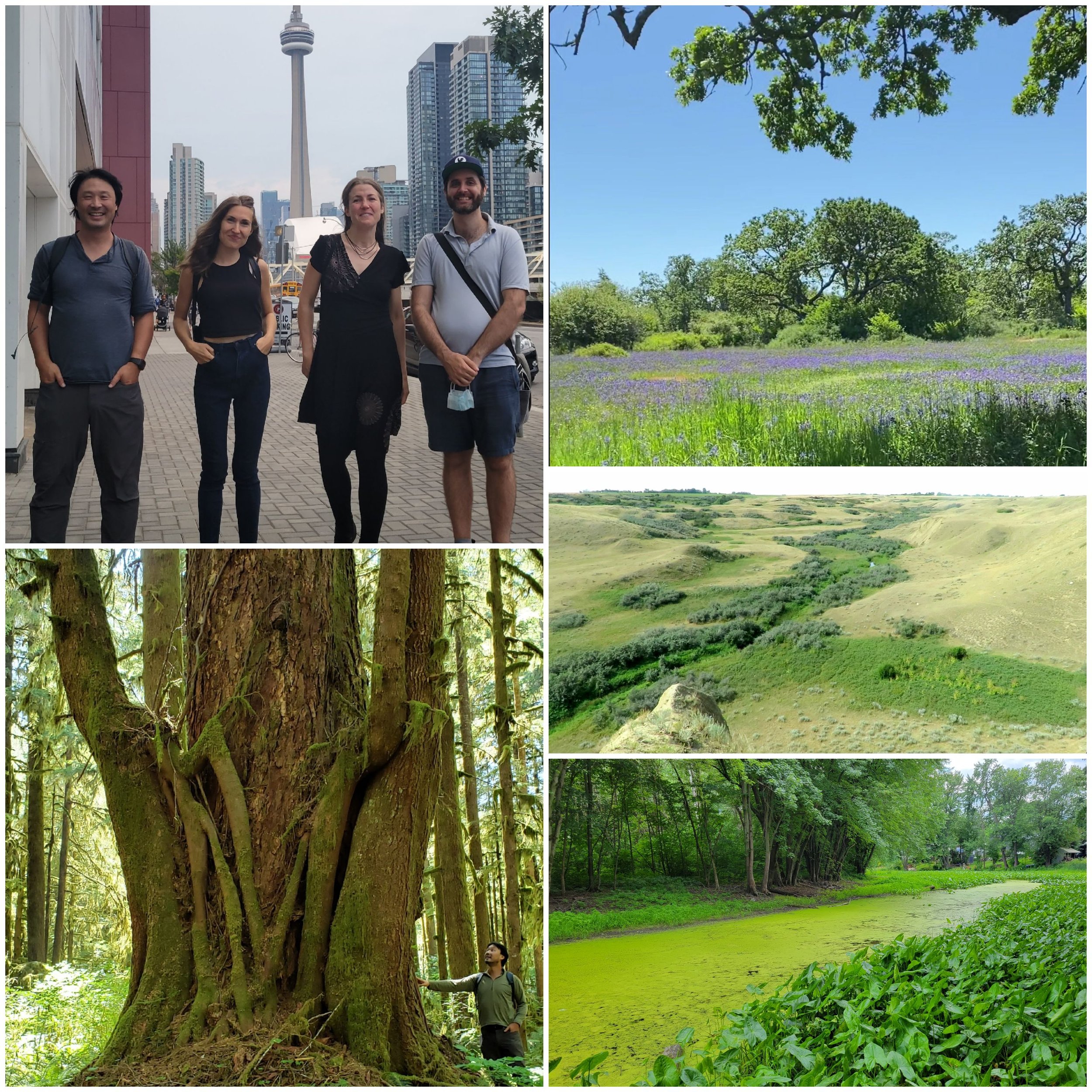 Endangered Ecosystems Alliance - Please DONATE to Science-based ...