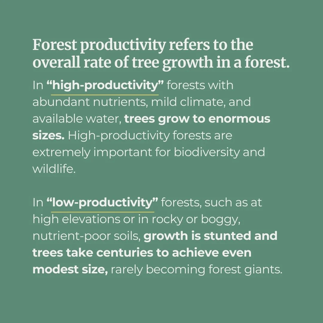 Forest Productivity and the Biodiversity and Ecosystem Health Framework ...