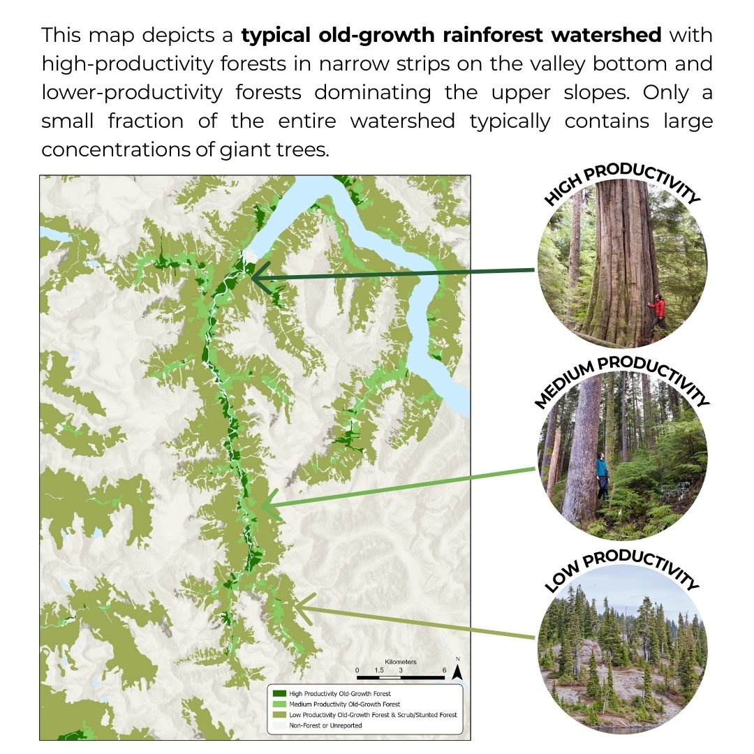 Forest Productivity and the Biodiversity and Ecosystem Health Framework ...