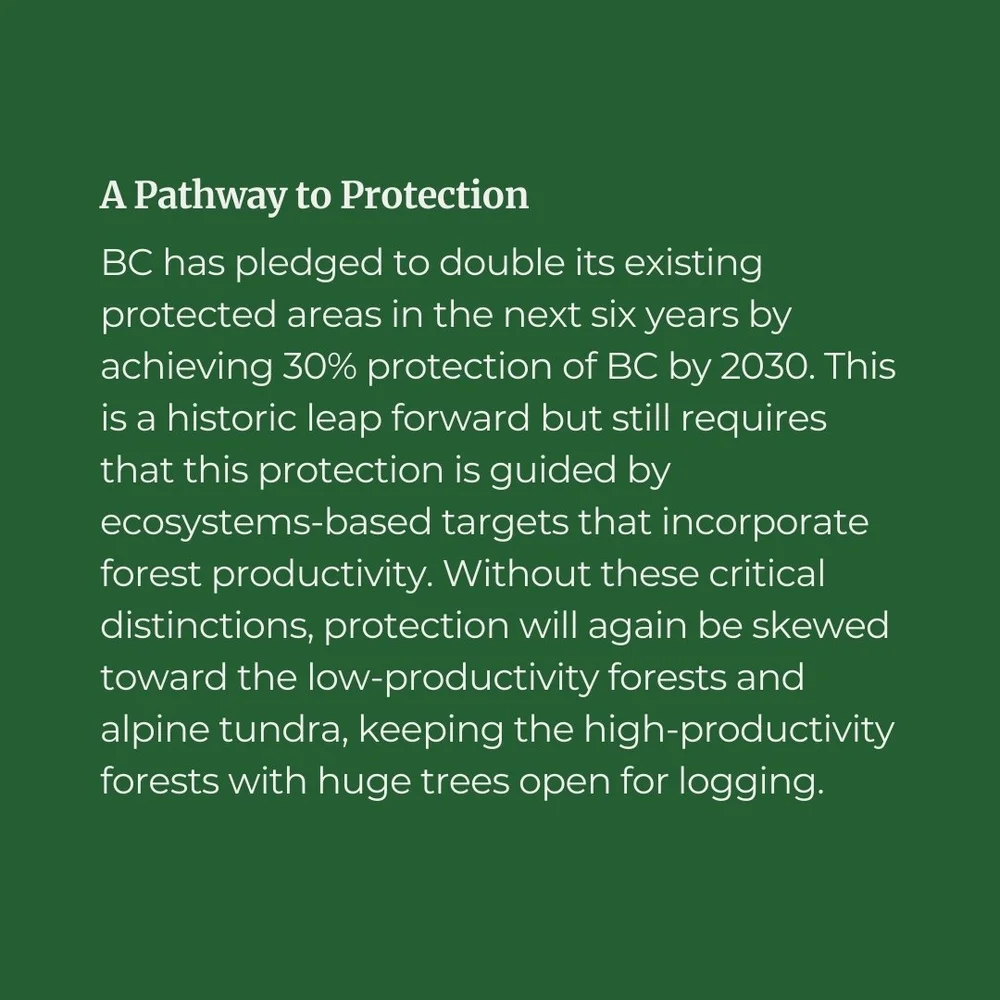 Forest Productivity and the Biodiversity and Ecosystem Health Framework ...