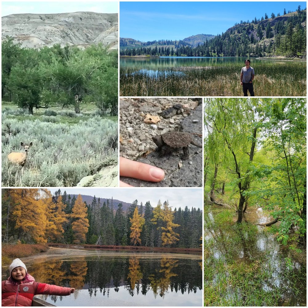 The Importance of Recognizing Progress and Giving Thanks in ...