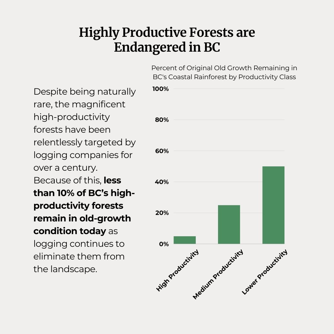 Forest Productivity and the Biodiversity and Ecosystem Health Framework ...