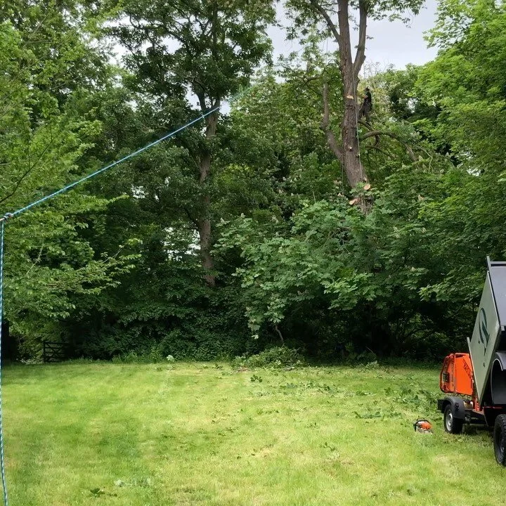 OAKHURST ARBORICULTURE