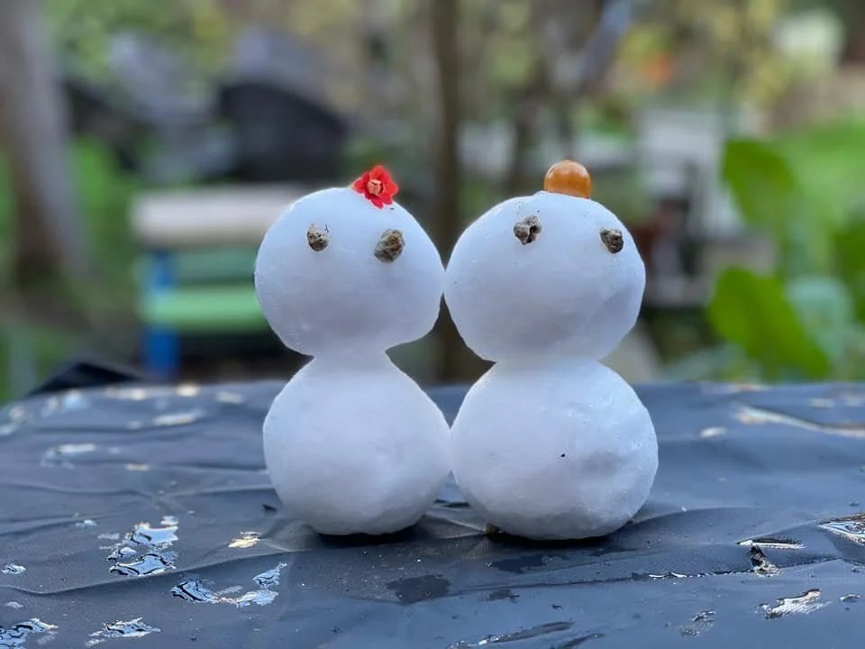 Chisel-it Ice | Ice Sculptures San Francisco Bay Area