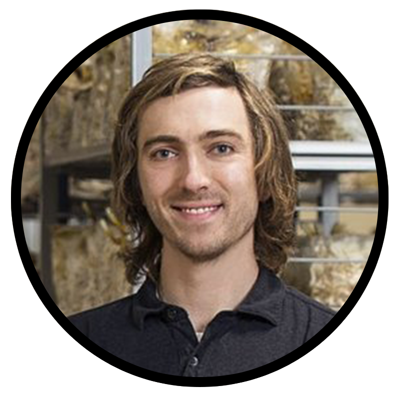 Our Story — Leep Foods