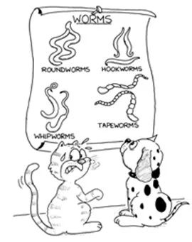 Parasite Prevention Coloring Pages