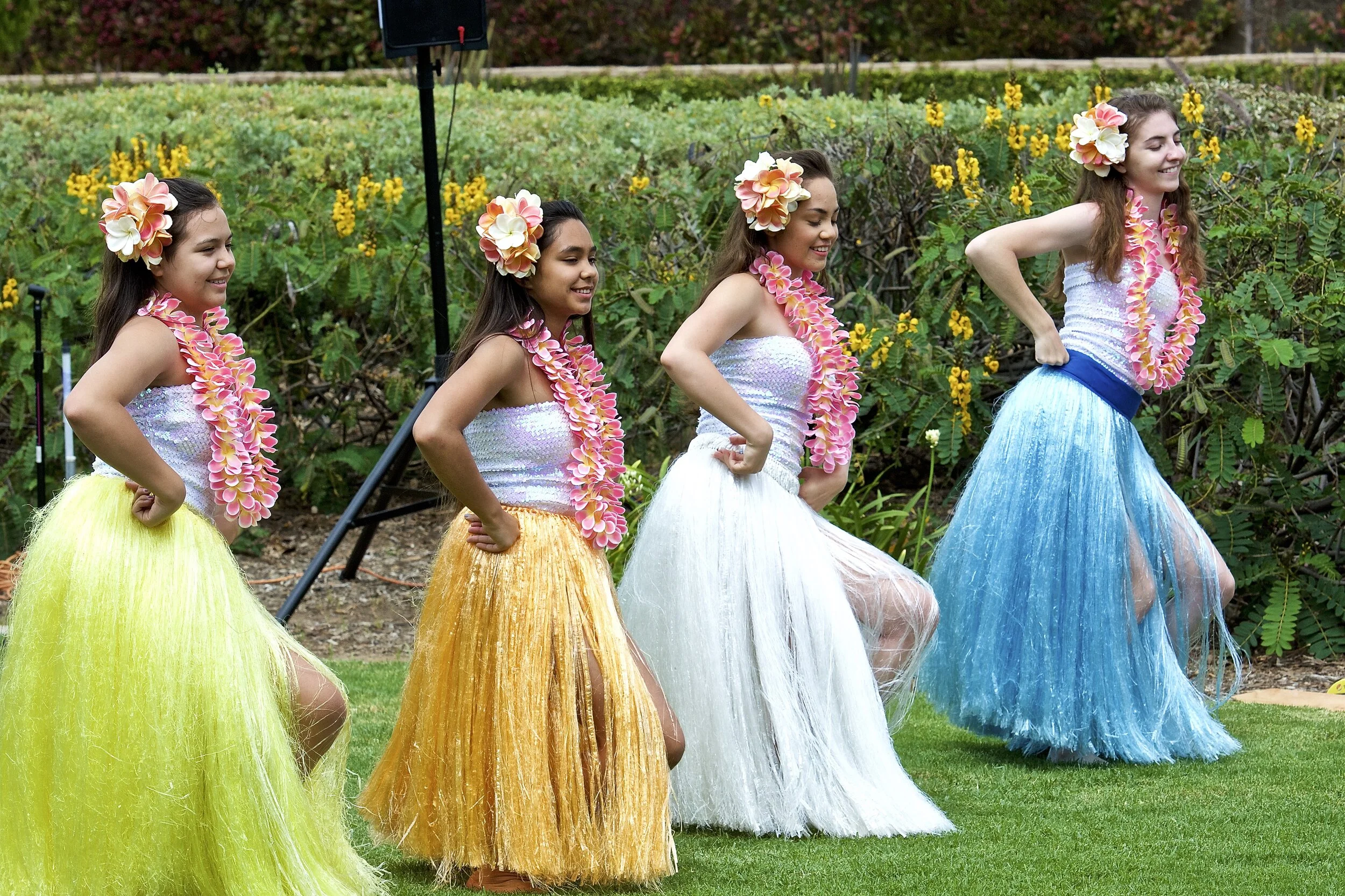 San Diego Hula Academy