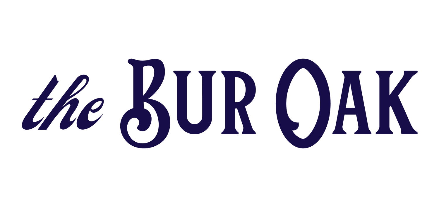 Shows — The Bur Oak