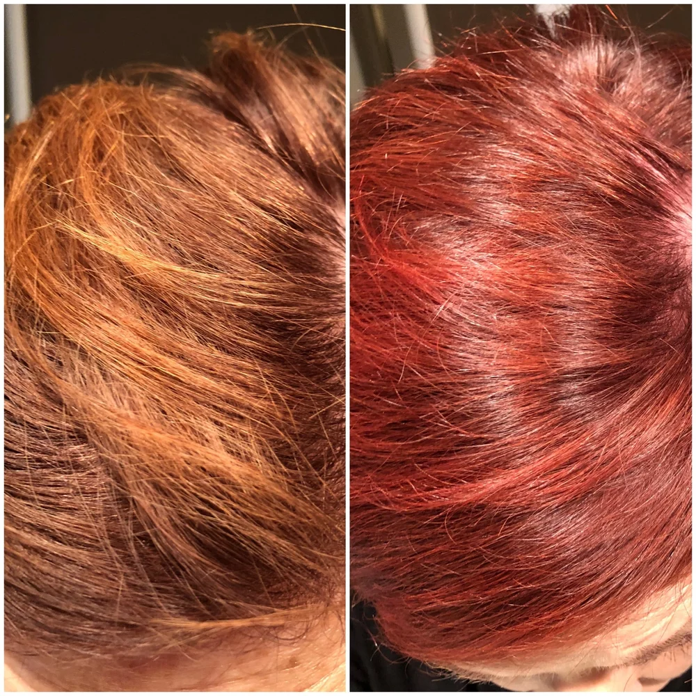 Color, fade no more! Revive your color treated strands! — Jamie Hess