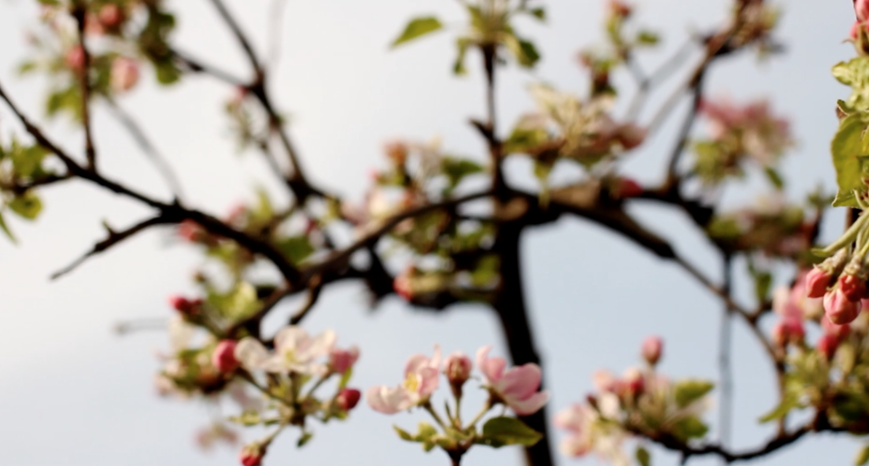 Apparel Designer with a Passion for Board Sports