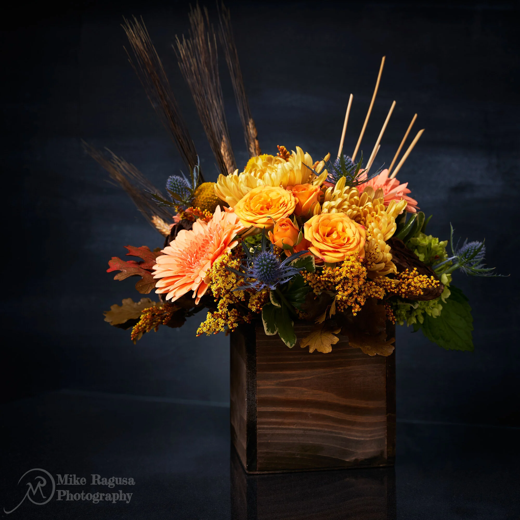 Mike Ragusa Photography