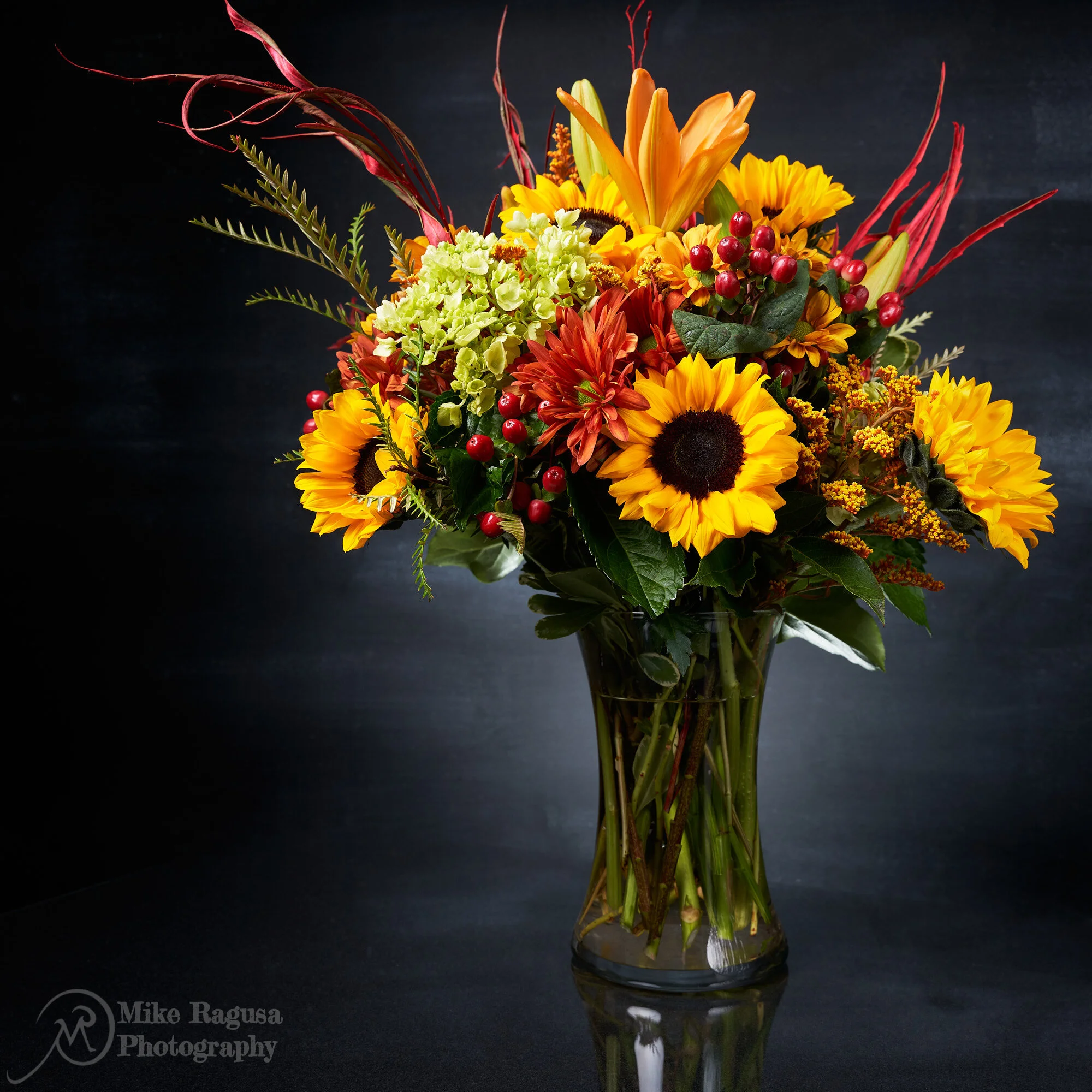 Mike Ragusa Photography