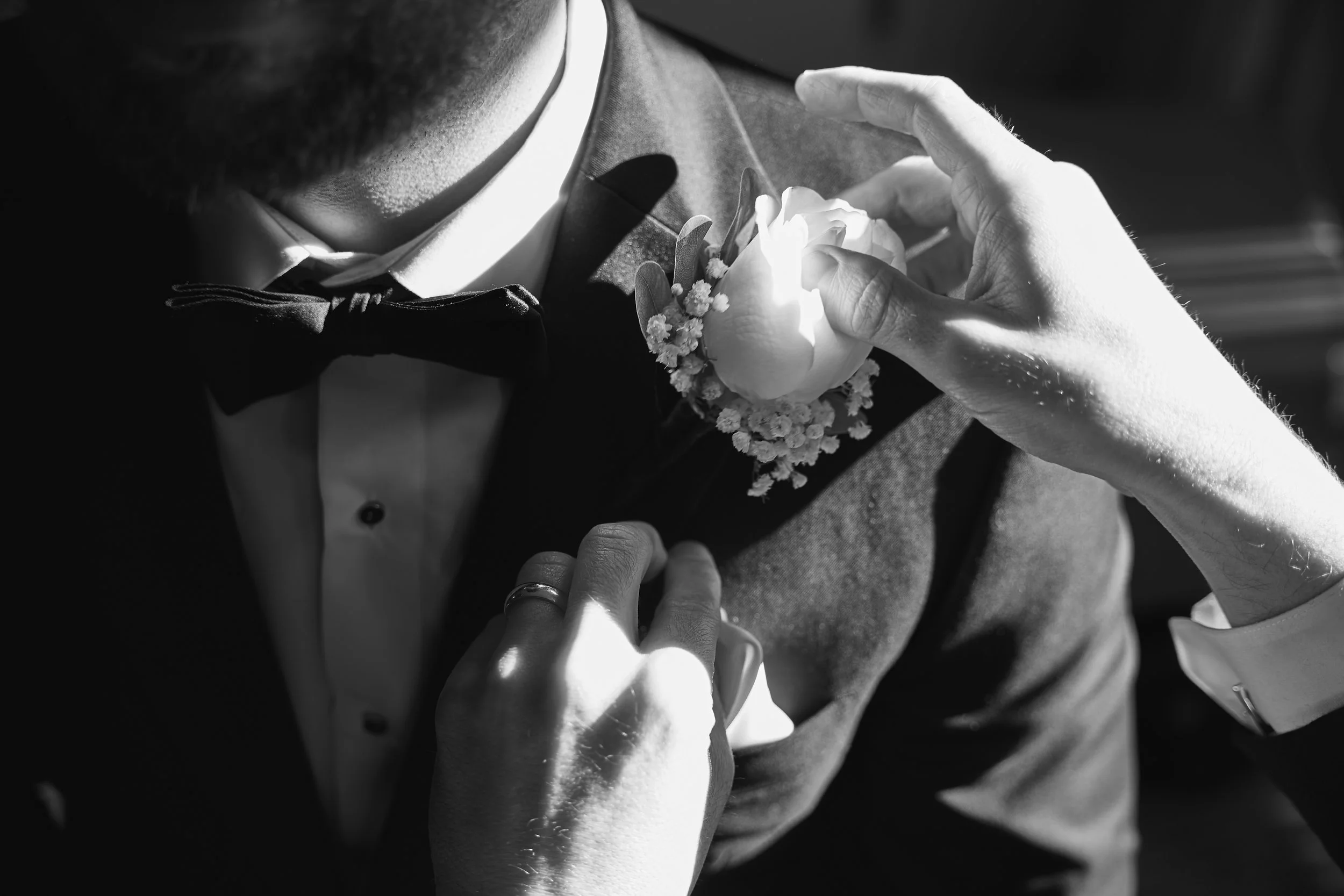 Mike Ragusa Photography