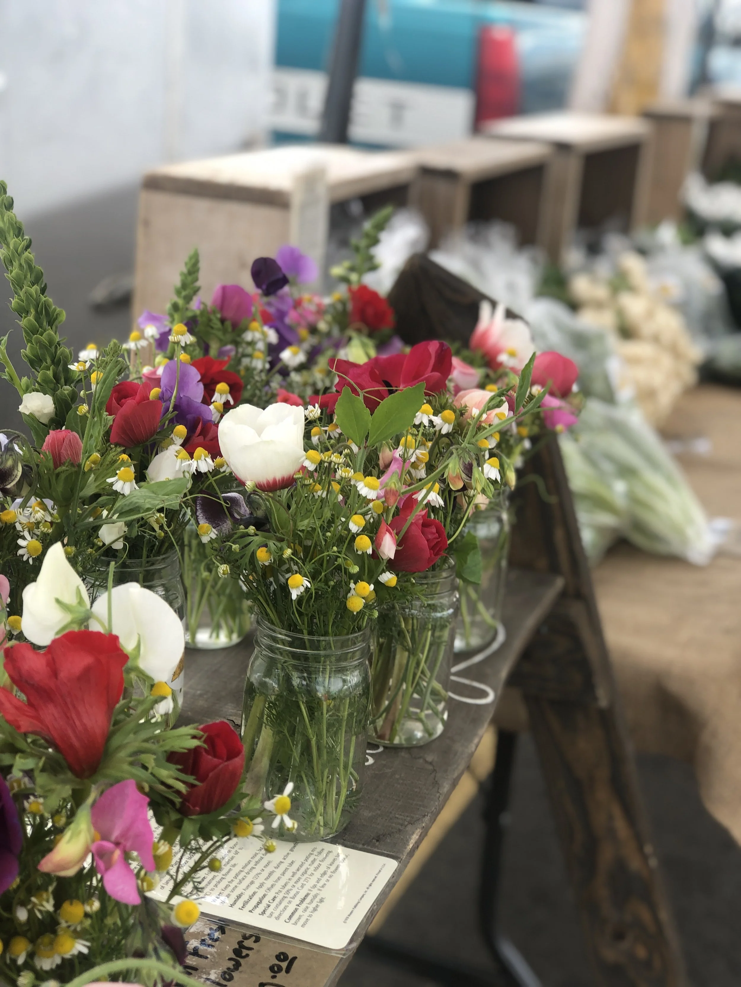 Arizona Flower Market Phoenix Az | Best Flower Site