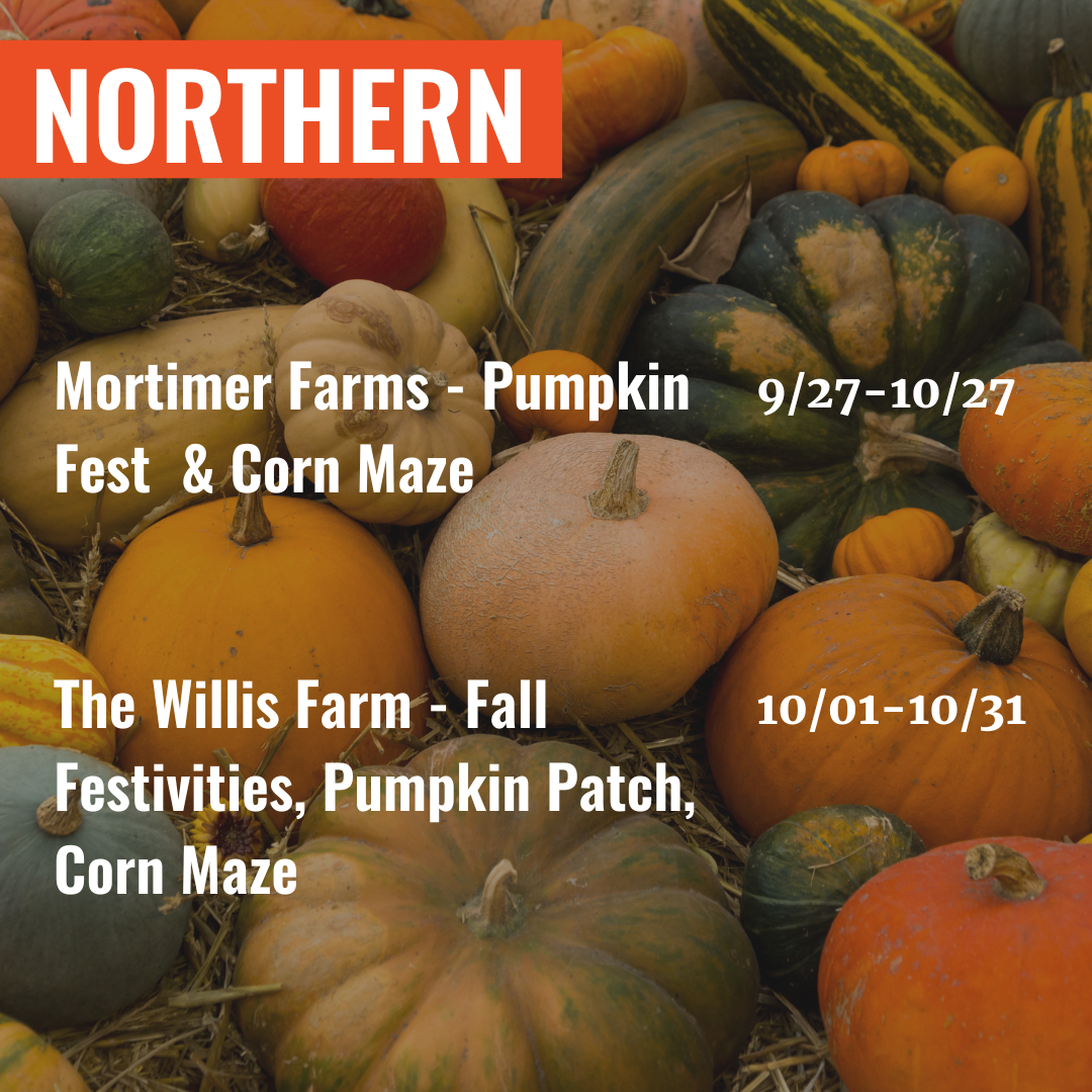 Fall Farm Events and U-Picks in Arizona — Devour Good Food