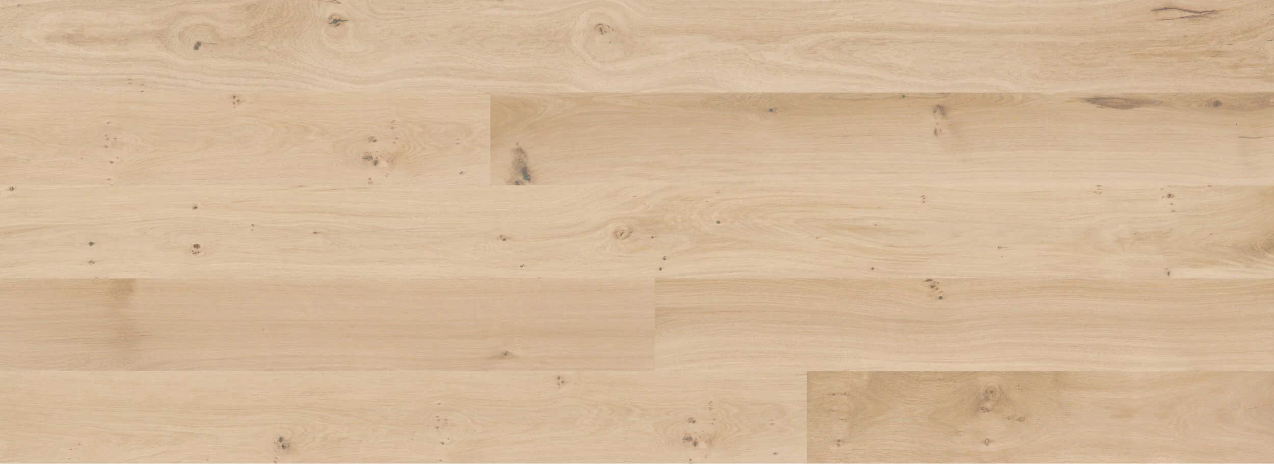 The Floors — Thomas Benjamin Flooring