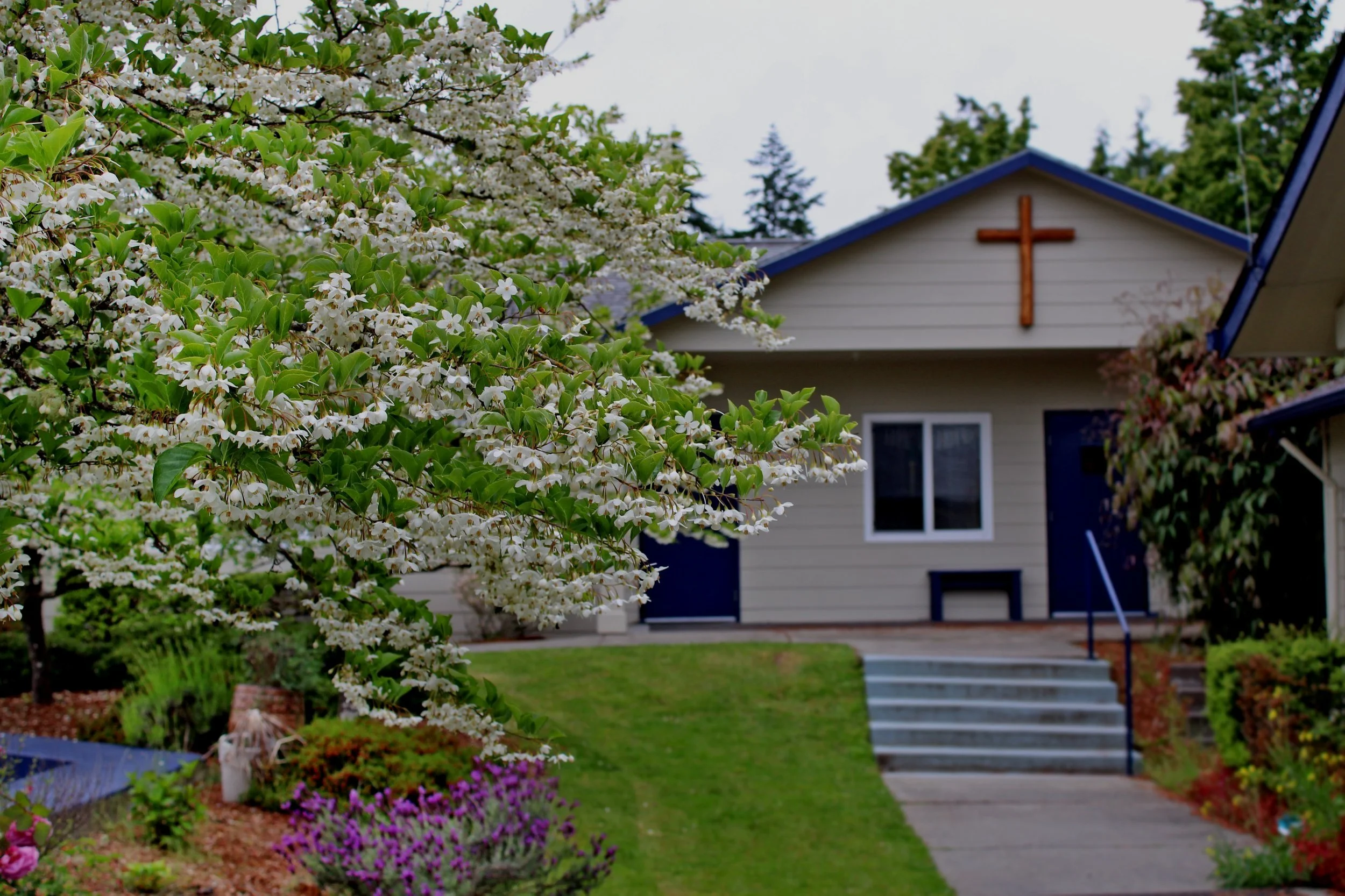 Meet our Staff — St. Nicholas Catholic School