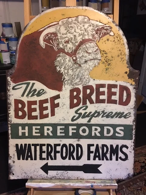 Gallery — Susan Perrotta