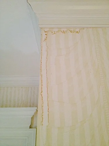 Gallery — Susan Perrotta