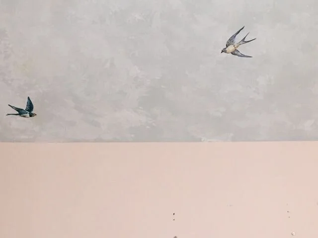 Gallery — Susan Perrotta