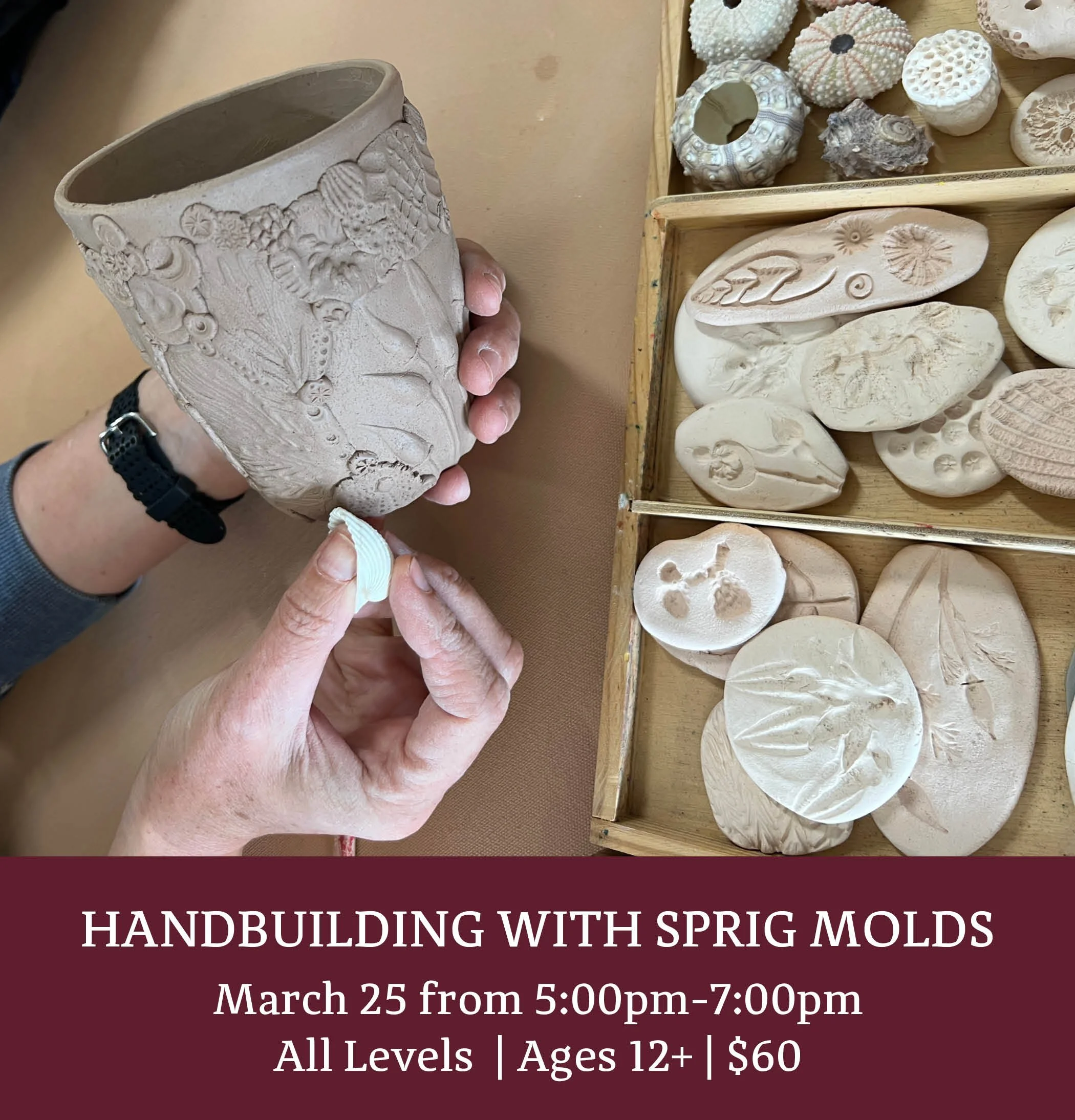 Classes & Workshops — PETALUMA POTTERY