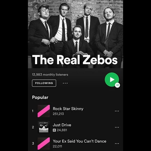 Media — The Real Zebos / Pop Band / Omaha, Nebraska