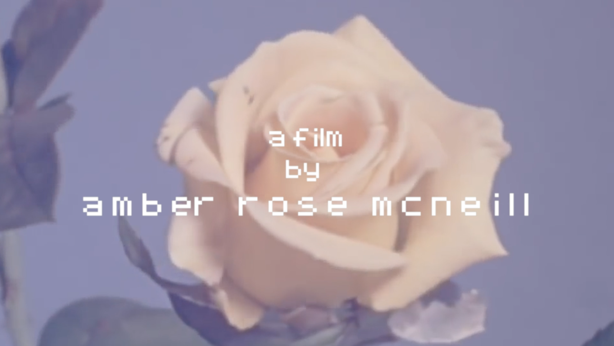 Amber Rose McNeill