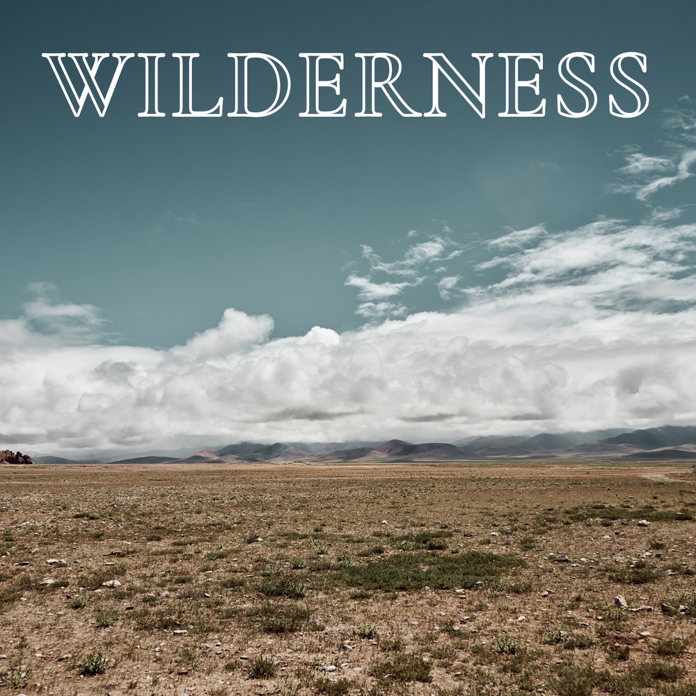 Wilderness: Where Do We Go From Here? (Exodus 33:12-23) — Resurrection ...