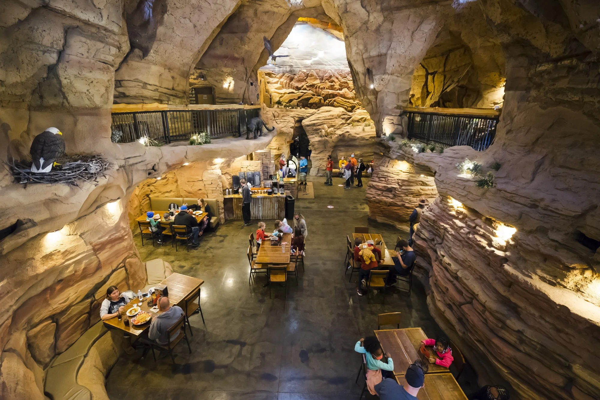 Food & Beverage @ Bearizona — KENNELLY CONCEPTS