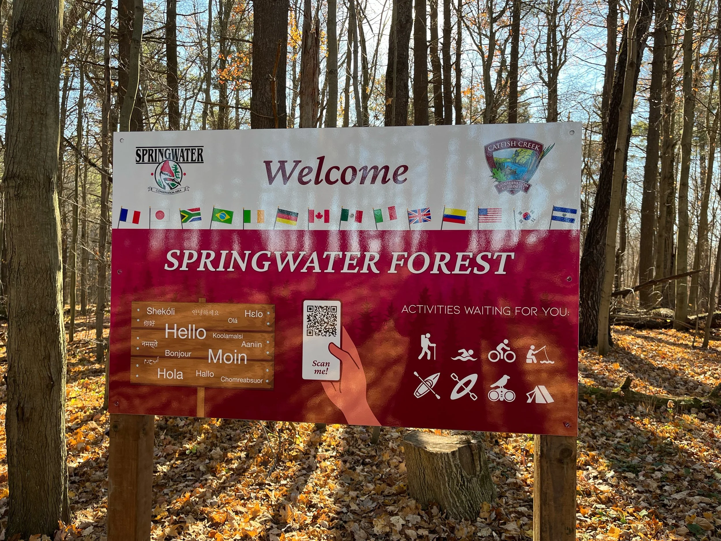 Trails Signs for Newcomers — Young and Free Press