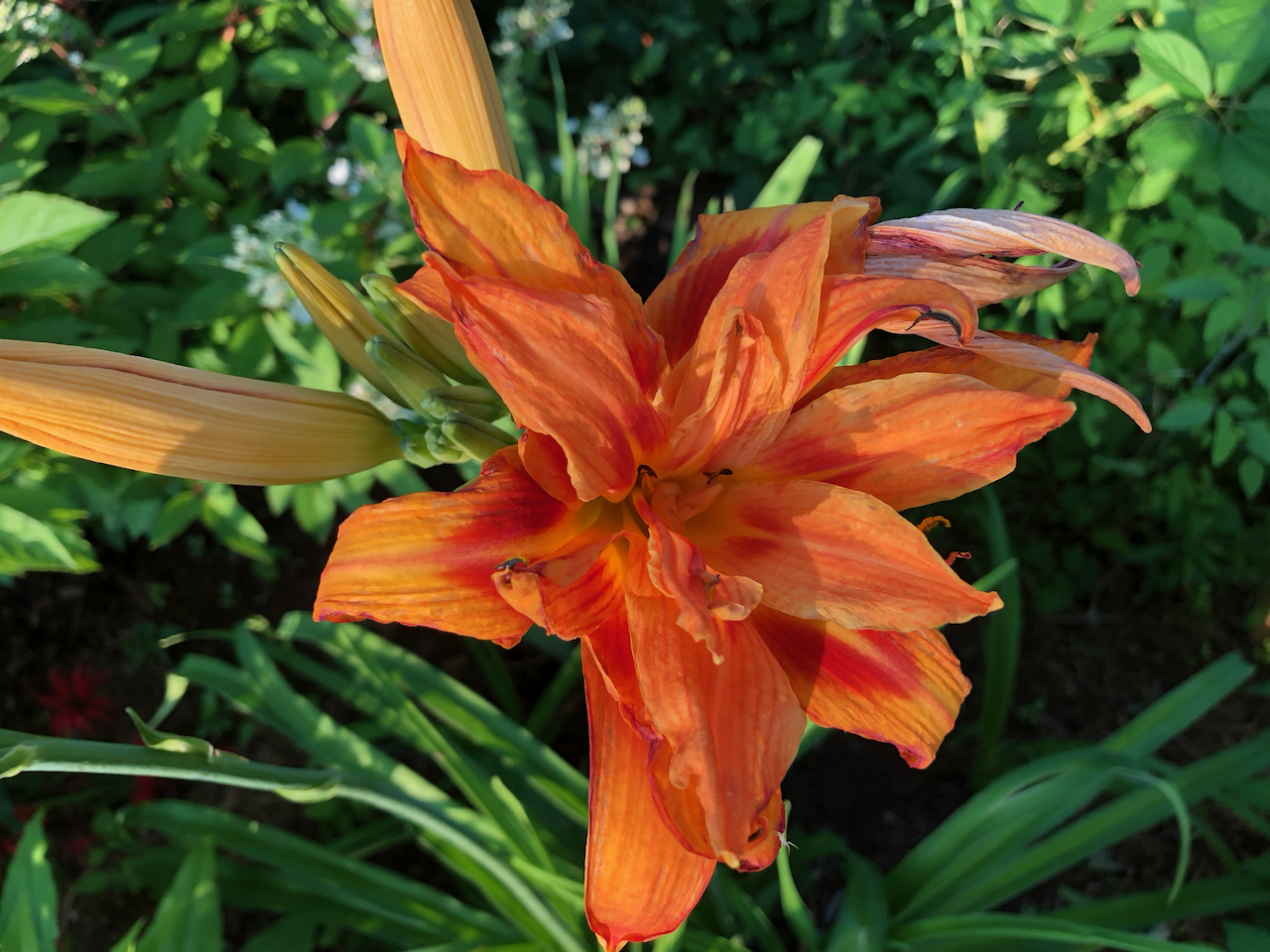 Installation — Lakeview Landscapes, LLC