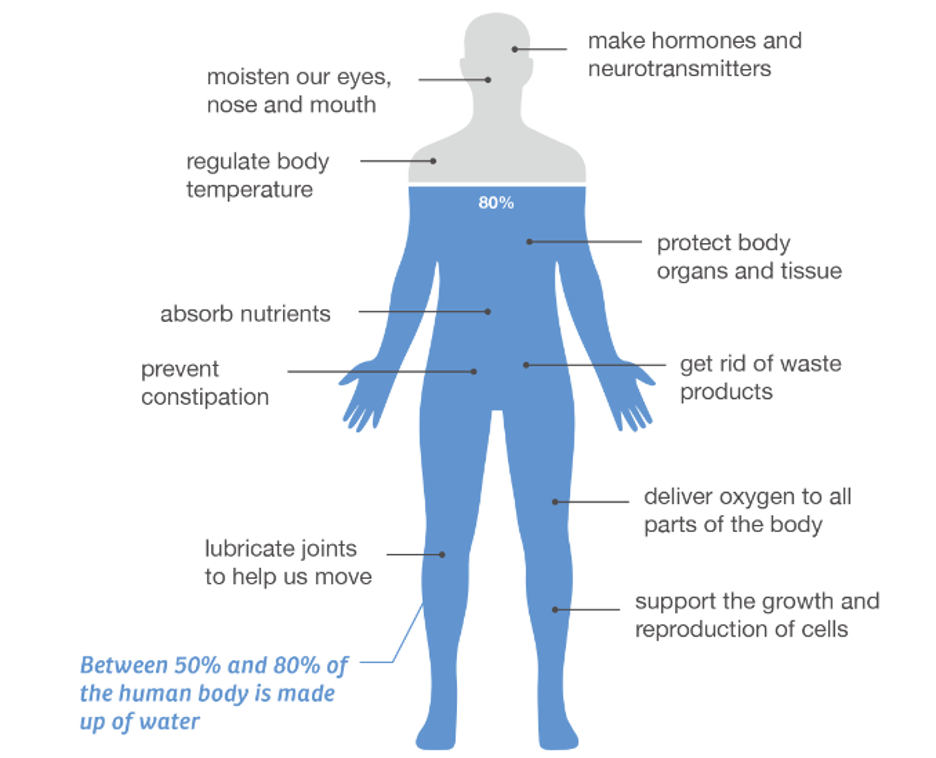 The Importance of Hydration