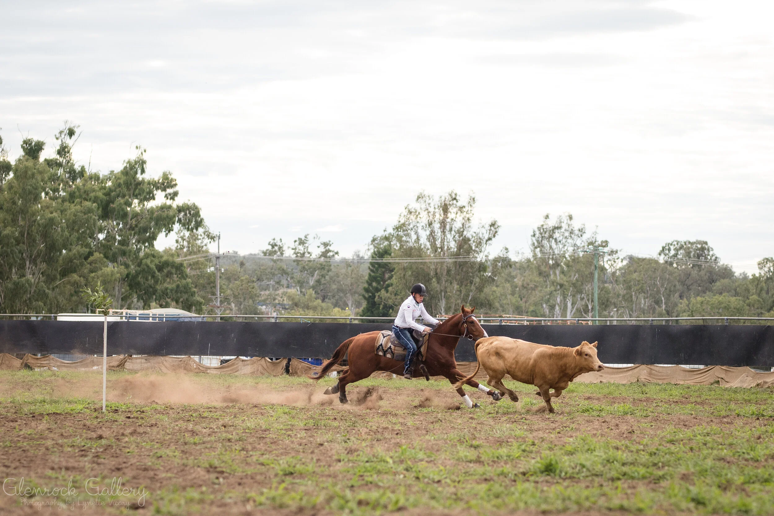 Mundubbera Show Society Inc