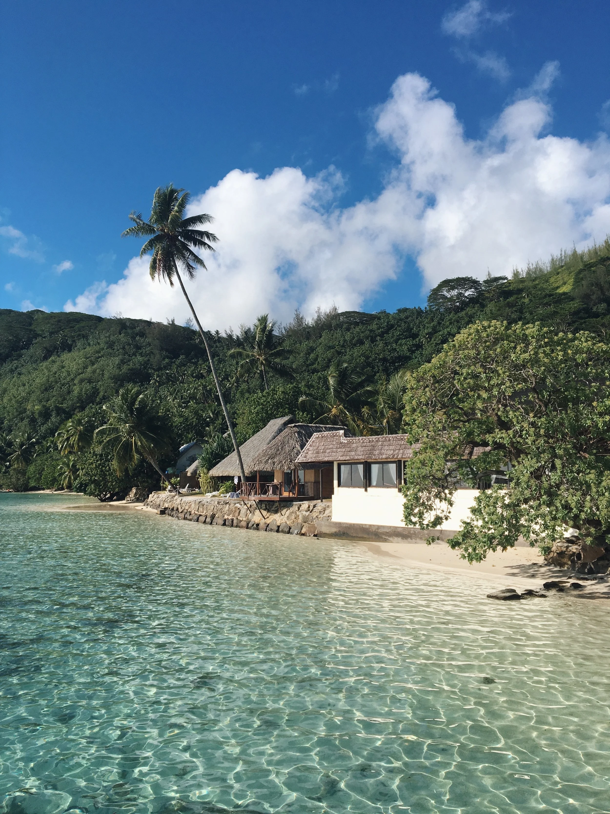 COLLECTIONS — hello zephyr