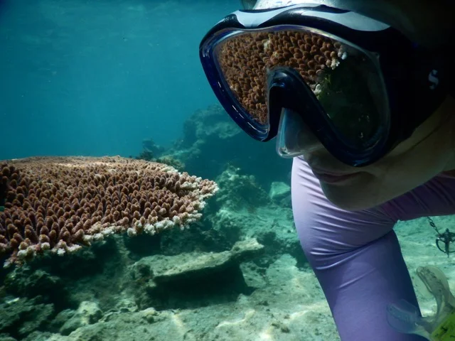 Kri McNamara: Biomedical Scientist turned Marine Conservationist ...