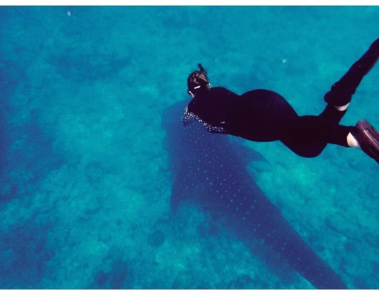 Hannah Rudd - From Whale Sharks to NGO's — WOMEN IN OCEAN SCIENCE