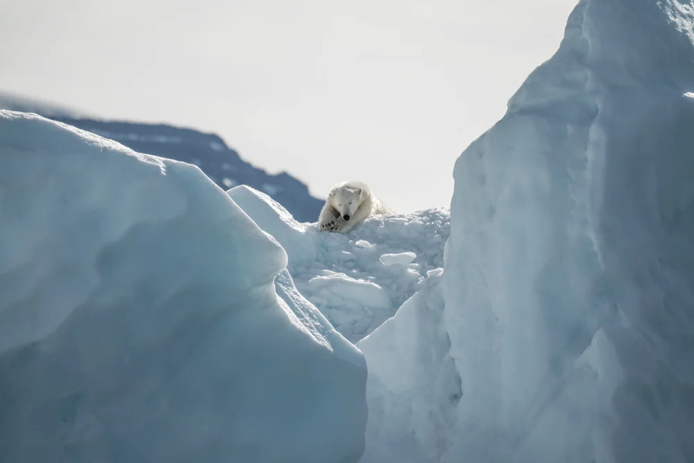 Why Polar Science Matters — WOMEN IN OCEAN SCIENCE
