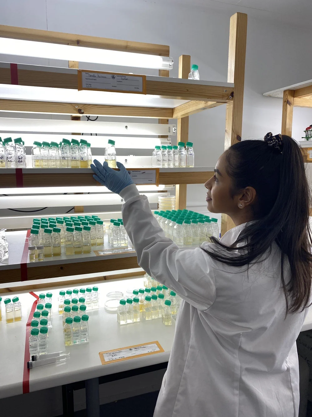WOMEN IN OCEAN SCIENCE