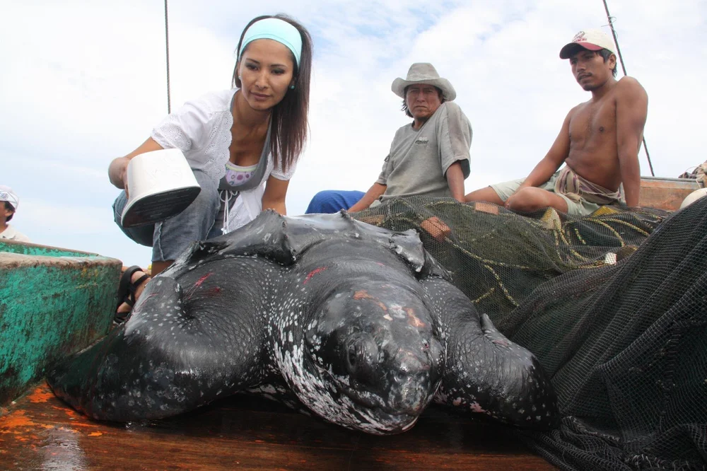 WOMEN IN OCEAN SCIENCE