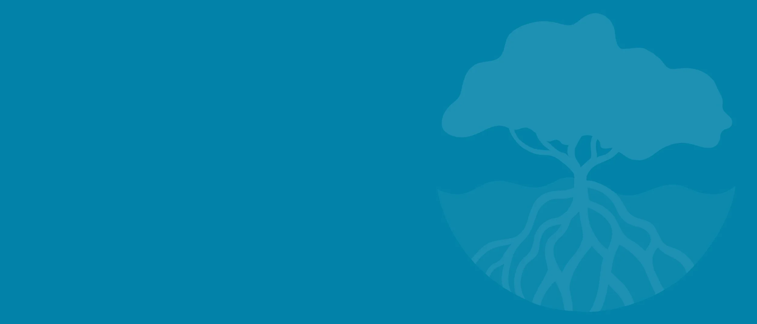 University Ambassadors — WOMEN IN OCEAN SCIENCE