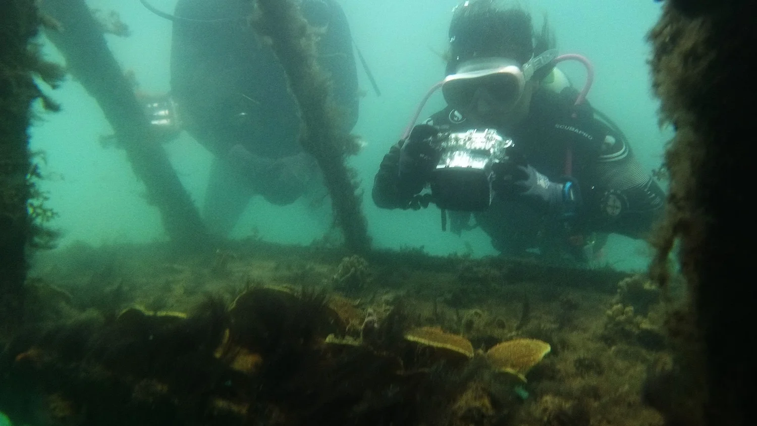 Making science fun and not giving up! An interview with Sam Shu Qin ...