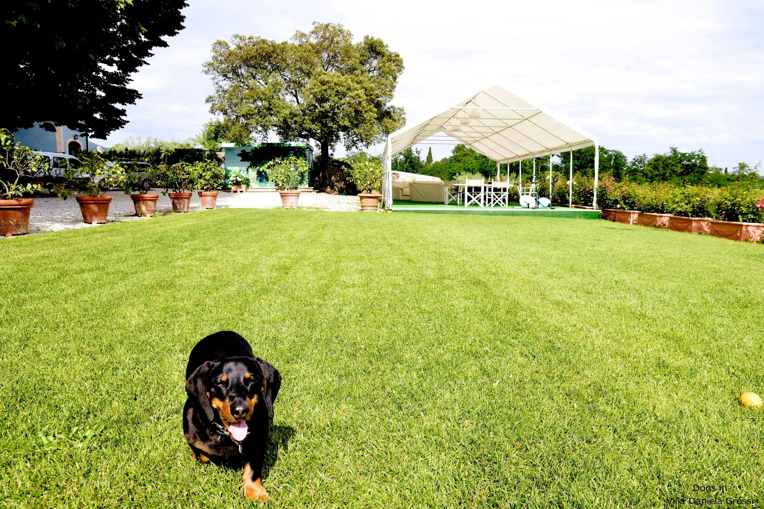 Discover Tranquility and Charm at Villa Daniela Grossi near Lucca: A ...
