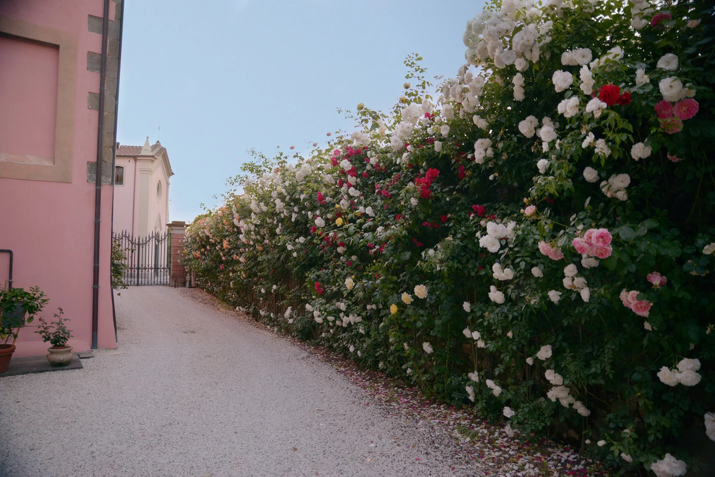 Discover Tranquility and Charm at Villa Daniela Grossi near Lucca: A ...