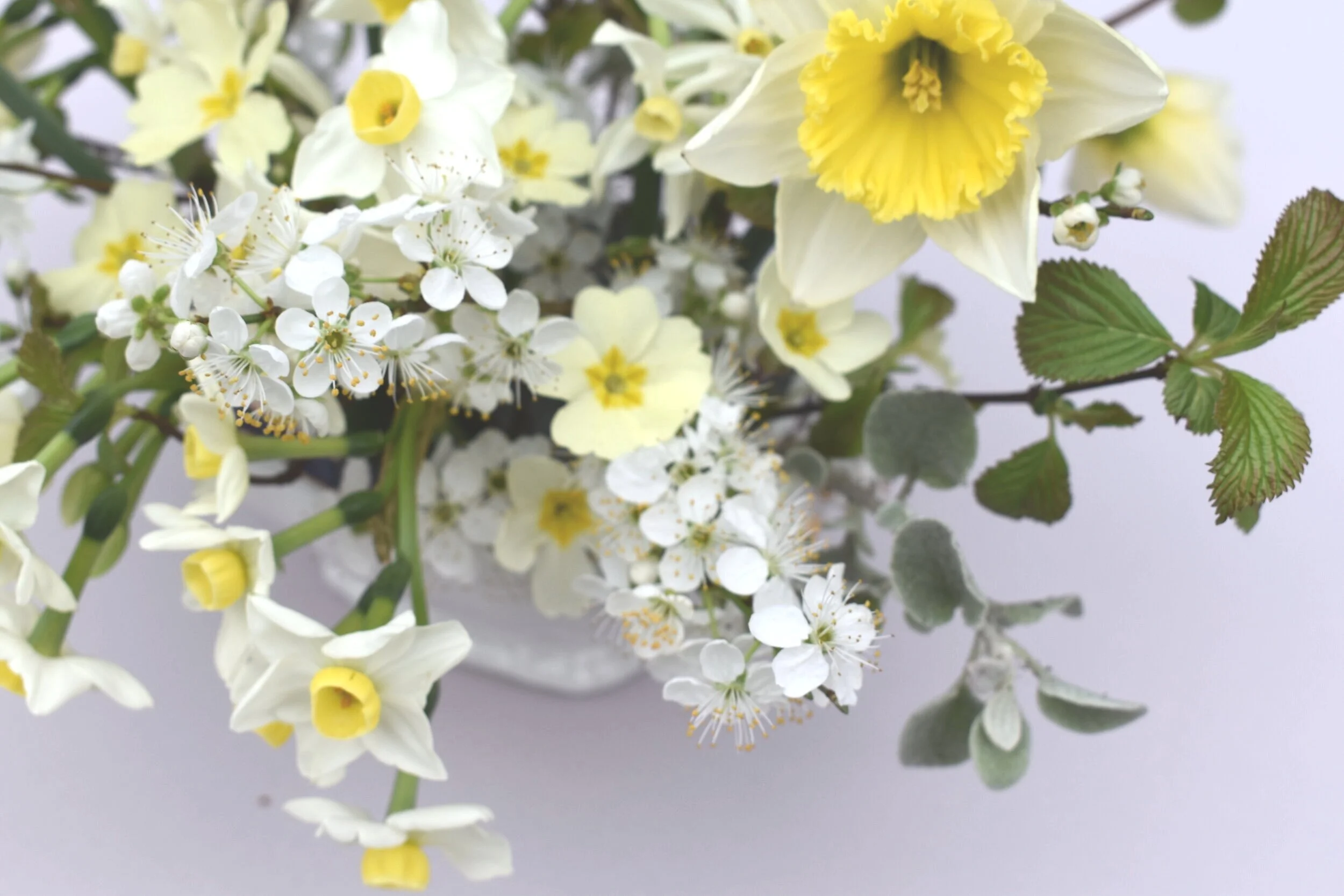 Ellie Frances Flowers