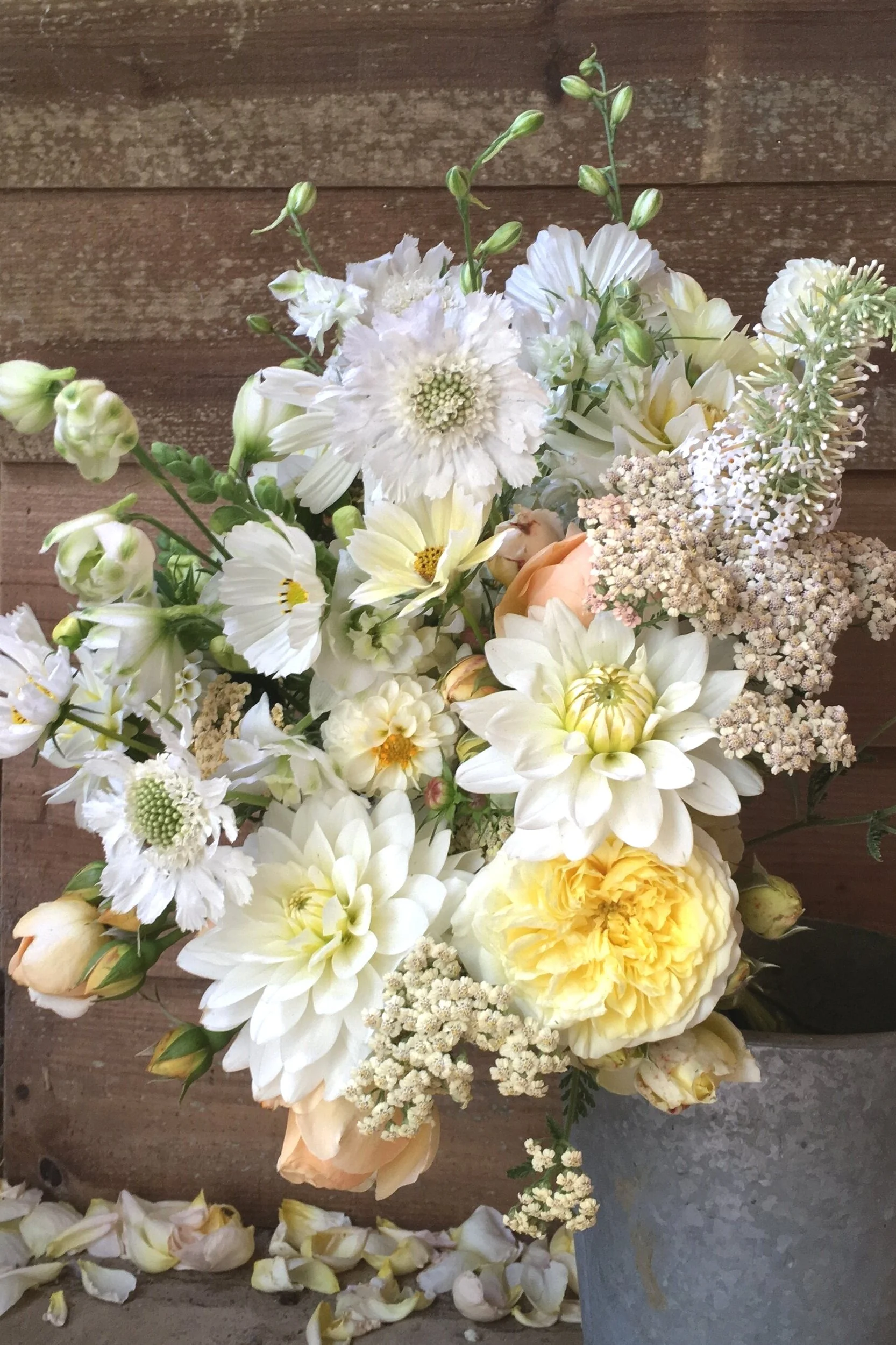 Ellie Frances Flowers