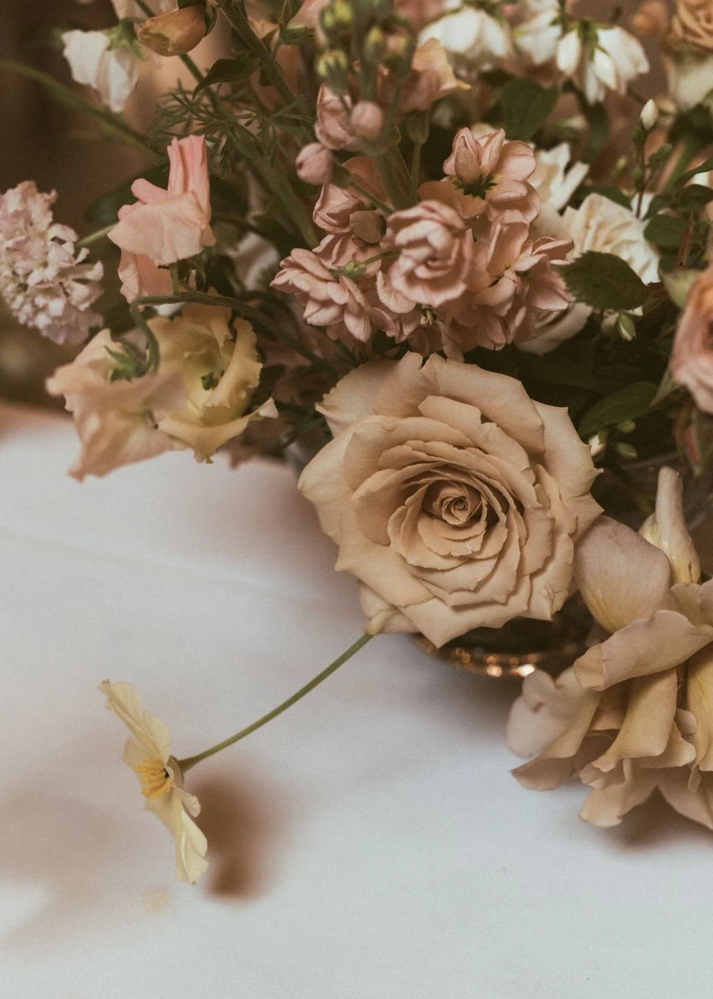 Ellie Frances Flowers