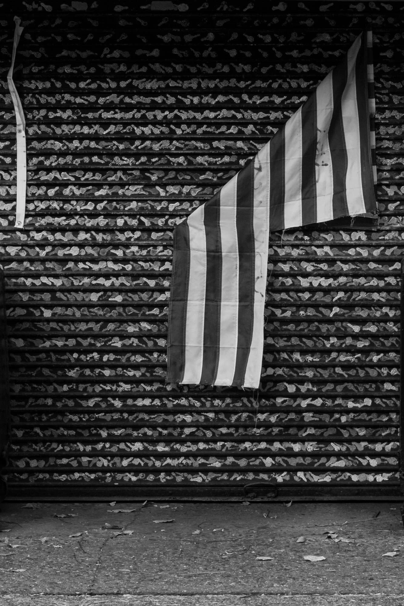 As Coisas que Temos de Enfrentar por Matt Milligan — scopio