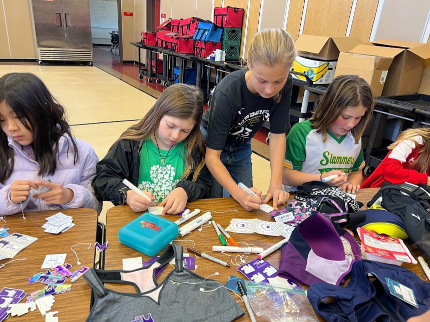The Sports Bra Project