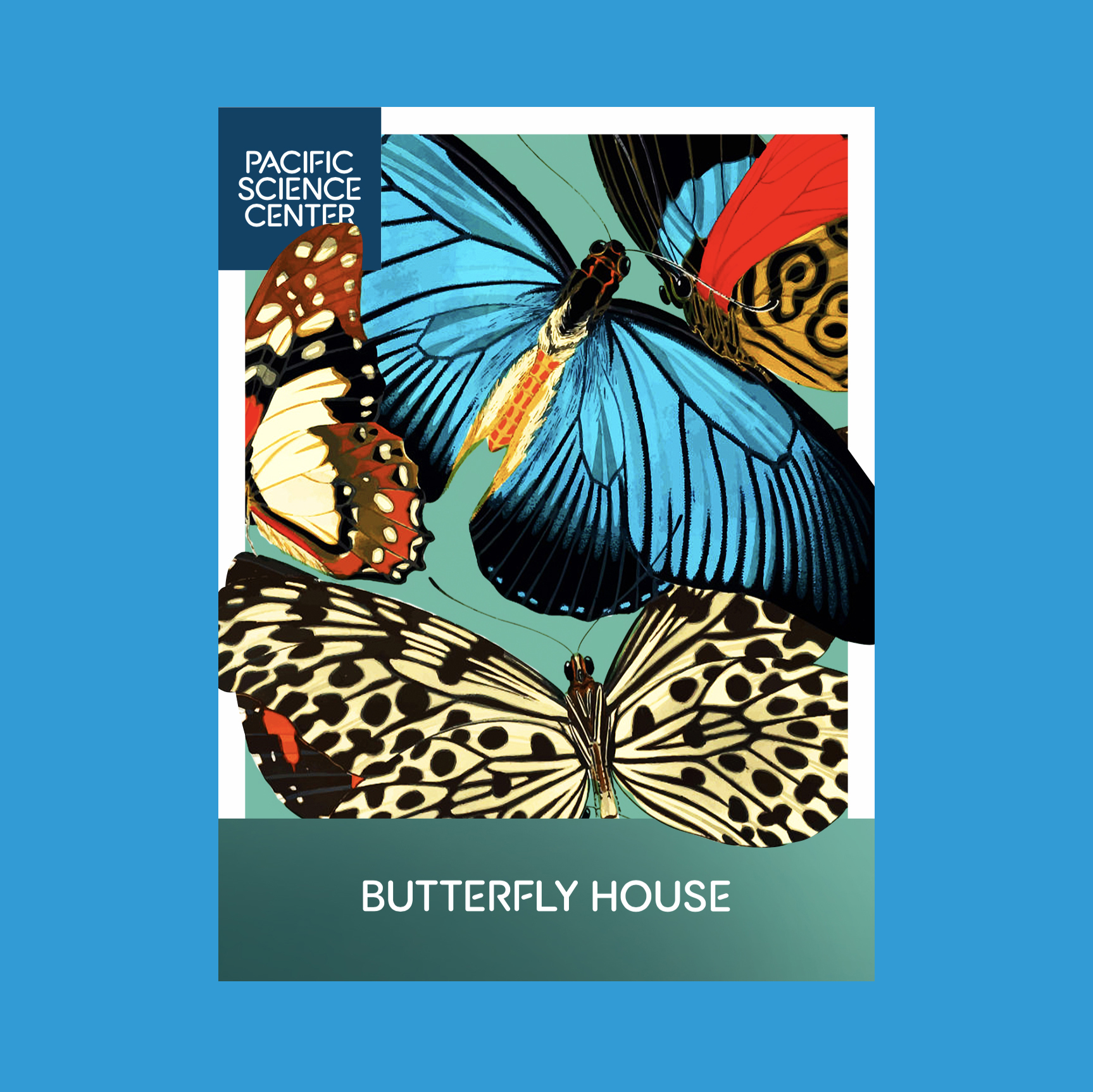 Pacific Science Center — Kate Harmer